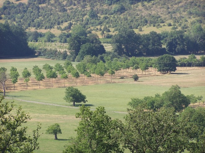 AZ ANATÓMIA VILÁGA